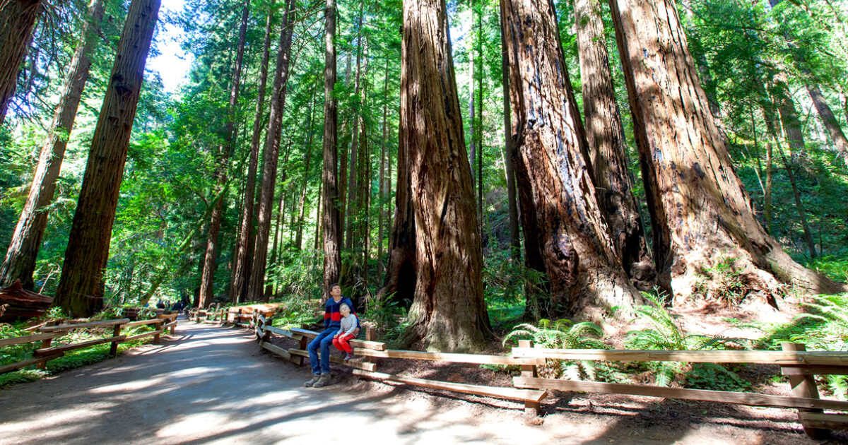 Active procrastination and passive thinking | Delve