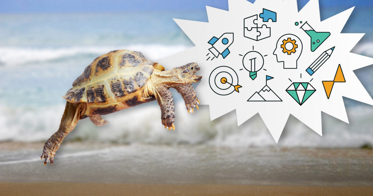 What It Looks Like When Organizations Enable Innovation—By… | Delve