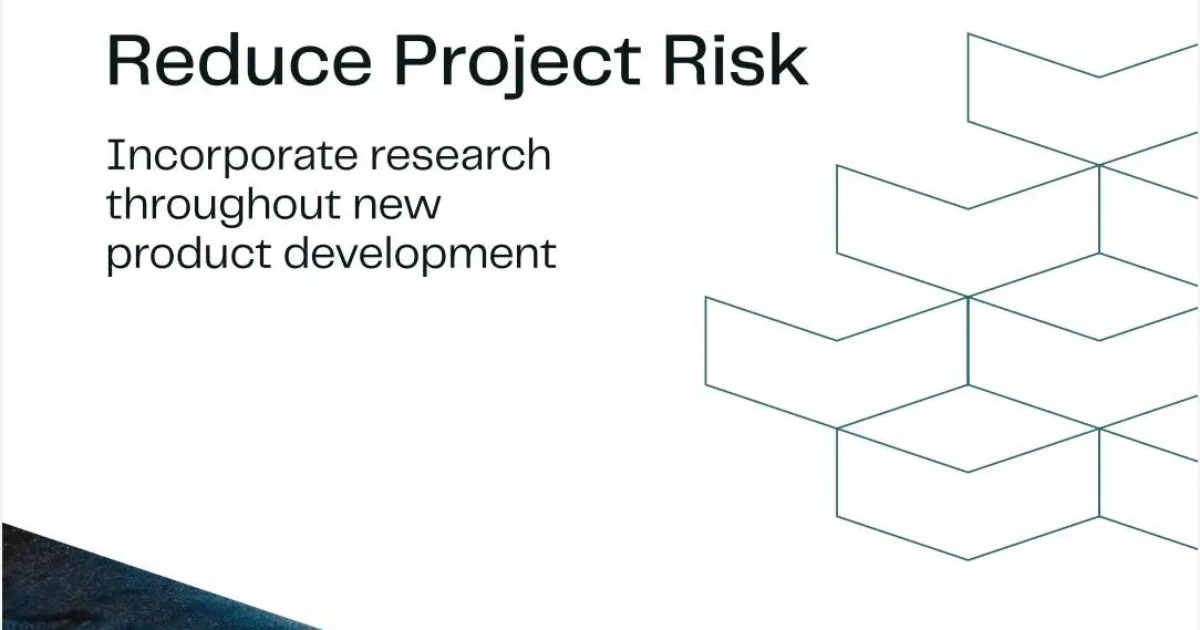 Slash Project Risk: Incorporate Research Throughout New… | Delve